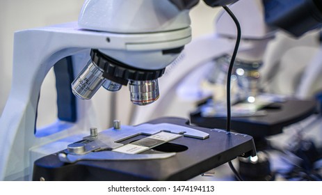 325 imagens de Digital pathology microscope Imagens, fotos stock e ...