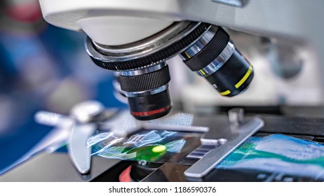 325 imagens de Digital pathology microscope Imagens, fotos stock e ...