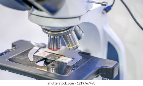 338 Digital Pathology Microscope Images, Stock Photos & Vectors ...