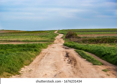 Dirt Pathway Going Through Fields Stock Photo 1676231434 | Shutterstock