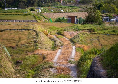 122 Unplanted field Images, Stock Photos & Vectors | Shutterstock