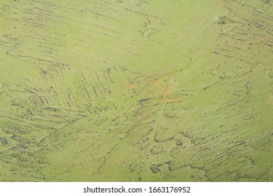 Dirty Green Texture Background Dark Colors Stock Photo 1663176952 ...