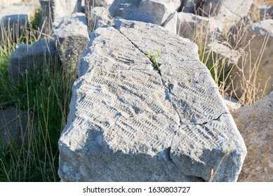 366 Roman chiseled Images, Stock Photos & Vectors | Shutterstock