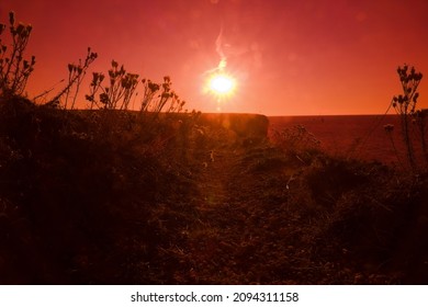 3,140 Infrared sun Stock Photos, Images & Photography | Shutterstock