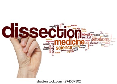 Dissection Word Cloud Concept Stock Photo 294537302 | Shutterstock