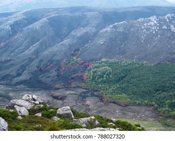 298 Distant forest fire Images, Stock Photos & Vectors | Shutterstock