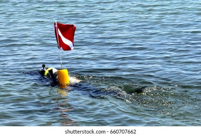2,364 Diver down Images, Stock Photos & Vectors | Shutterstock