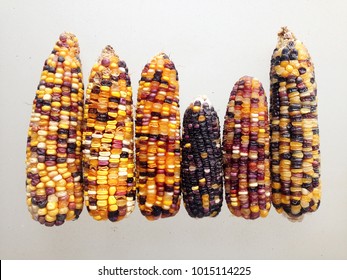 64 Germplasm Images, Stock Photos & Vectors | Shutterstock