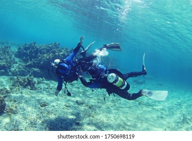 5,874 Dive Into Education Images, Stock Photos & Vectors | Shutterstock