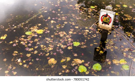 Do Not Feed Turtles Stock Photo 780051742 | Shutterstock