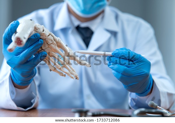 Doctor Explained Structure Foot Bone Model Stock Photo 1733712086 ...