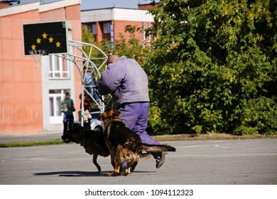 Dog Attacking Man Stock Photo 1094112323 | Shutterstock