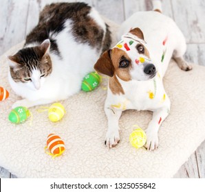 Animal Drawings Dog And Cat With Easter PPT template 42 | CrystalGraphics