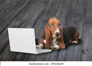 106,927 Computer animals Images, Stock Photos & Vectors | Shutterstock