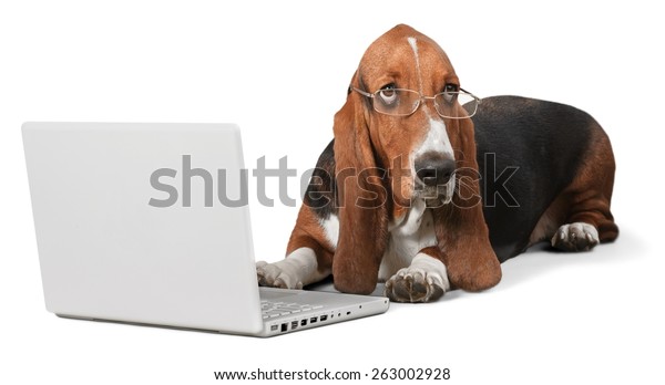 Dog Computer Pets Stock Photo (Edit Now) 263002928