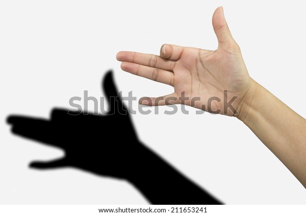 Dog Shadow Stock Photo 211653241 | Shutterstock