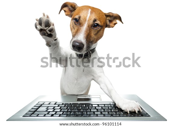 Dog Using Keyboard On Computer High Stock Photo (Edit Now) 96101114