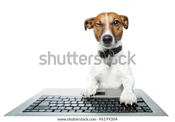 Dog Using Laptop Stock Photo (Edit Now) 96199304