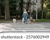 26,483 Scary Dog Royalty-Free Images, Stock Photos & Pictures ...