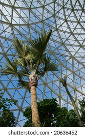 Domes Stock Photo 20636452 | Shutterstock