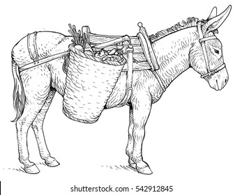 Donkey-cart Images, Stock Photos & Vectors | Shutterstock