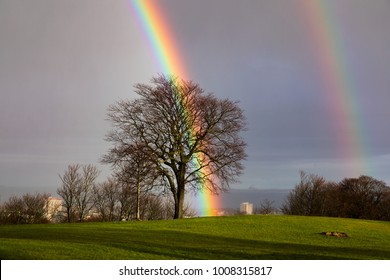 Stock Photo and Image Portfolio by Ohanaphotography | Shutterstock