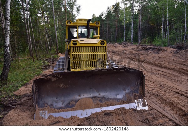 Dozer During Clearing Forest Construction New Stock Photo 1802420146 ...