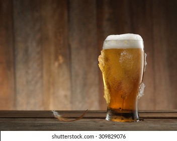 Cool Draft Beer Stock Photo 309829091 | Shutterstock