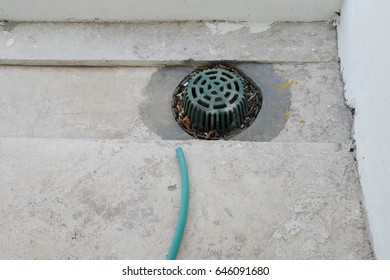 Drain Net Stock Photo 646091680 | Shutterstock