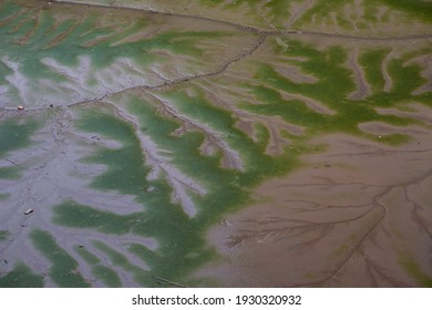 498 Muddy River Bed Images, Stock Photos & Vectors | Shutterstock