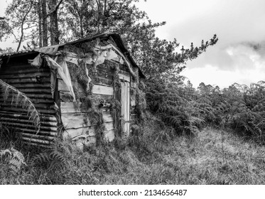 1,715 Shack black and white Stock Photos, Images & Photography ...