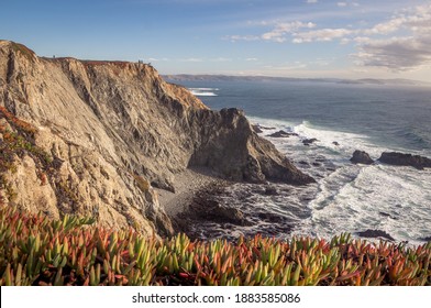 176 Bodega head Images, Stock Photos & Vectors | Shutterstock
