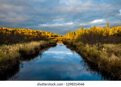Dramatic Light Hitting Treeline Beyond Creek Stock Photo 1298314546 ...