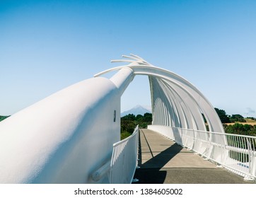 318 Whale rib Images, Stock Photos & Vectors | Shutterstock