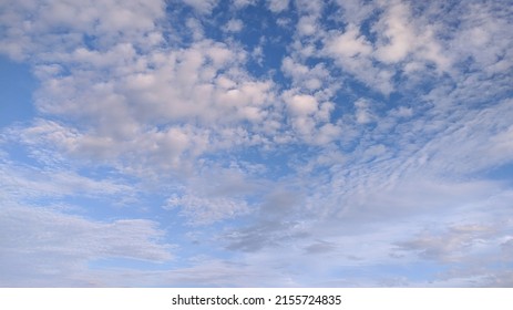 13,448 Transitional season Images, Stock Photos & Vectors | Shutterstock