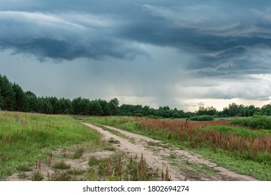 195 Walk Through The Swamp At Sunset Swamp Images, Stock Photos ...