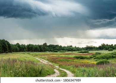 3,095 Path through swamp Images, Stock Photos & Vectors | Shutterstock