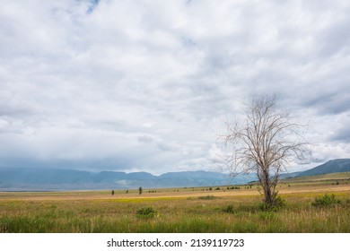 5,514 Somber background Images, Stock Photos & Vectors | Shutterstock