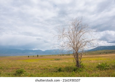 5,514 Somber background Images, Stock Photos & Vectors | Shutterstock