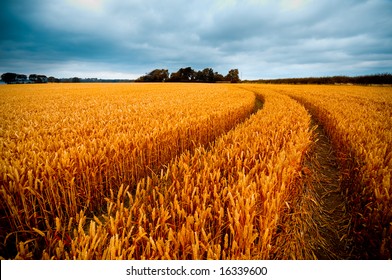 3,338 Wheatfields Images, Stock Photos & Vectors | Shutterstock