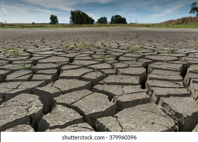 956 Draught land Images, Stock Photos & Vectors | Shutterstock