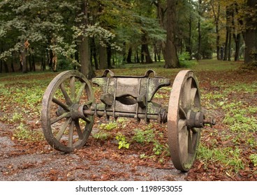 Dray Forest Stock Photo 1198953055 | Shutterstock