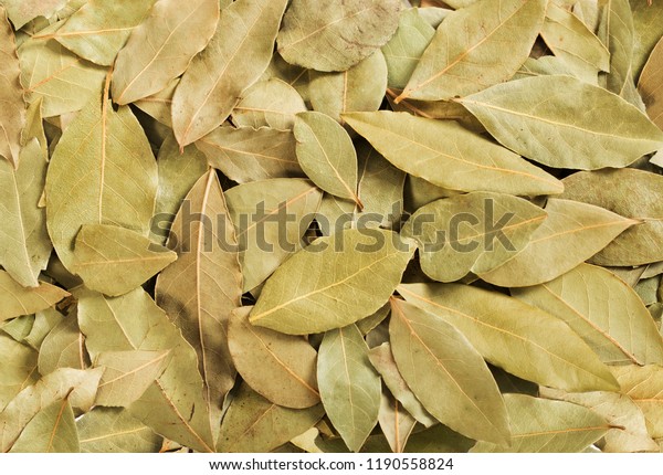 Dried Bay Leaves Stack Isolated On Stock Photo 1190558824 | Shutterstock