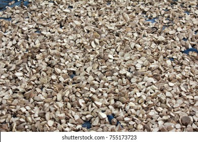 80 Cassava waste Images, Stock Photos & Vectors | Shutterstock