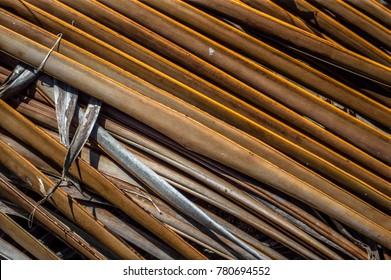 Dried Coconut Tree Leaf Stock Photo 780694552 | Shutterstock