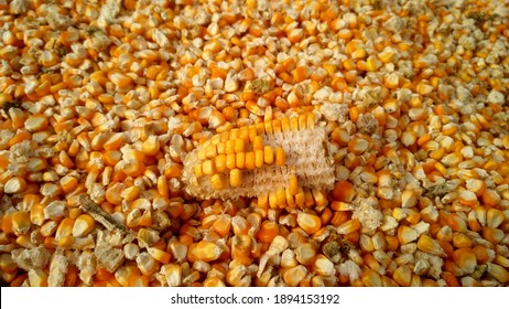 764 Corn Cob Empty Images, Stock Photos & Vectors | Shutterstock