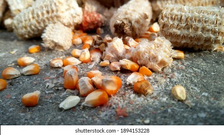 764 Corn Cob Empty Images, Stock Photos & Vectors | Shutterstock