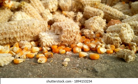 764 Corn Cob Empty Images, Stock Photos & Vectors | Shutterstock