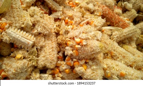 764 Corn Cob Empty Images, Stock Photos & Vectors | Shutterstock