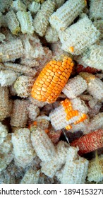 764 Corn Cob Empty Images, Stock Photos & Vectors | Shutterstock